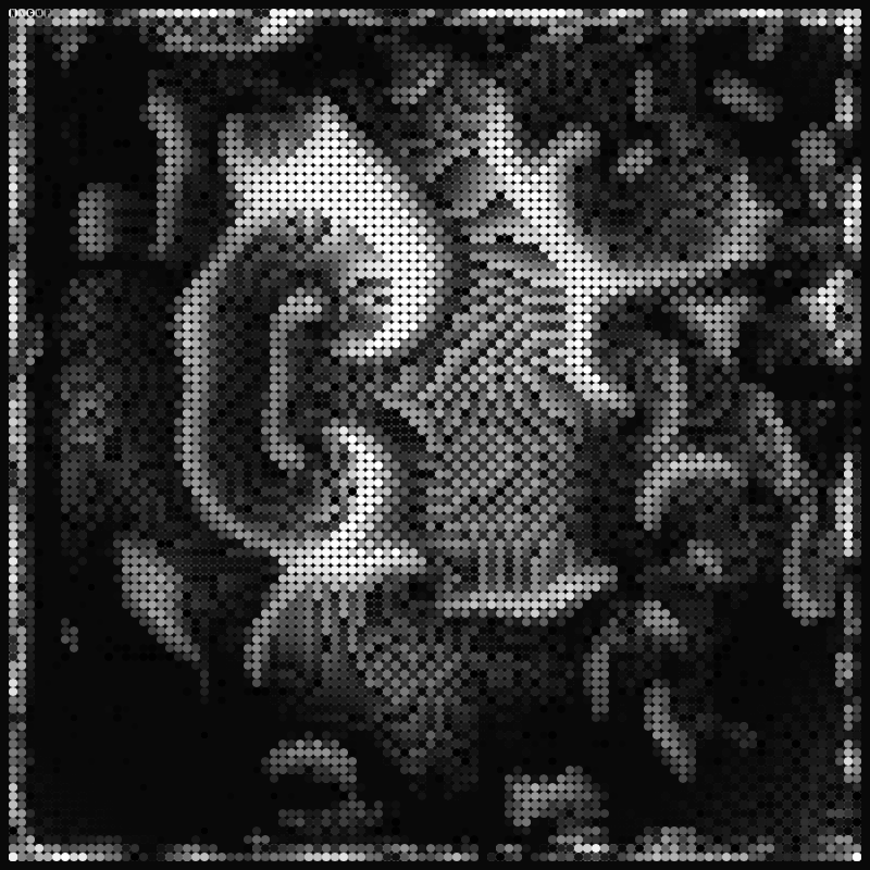 Turing Patterns - Nicu P